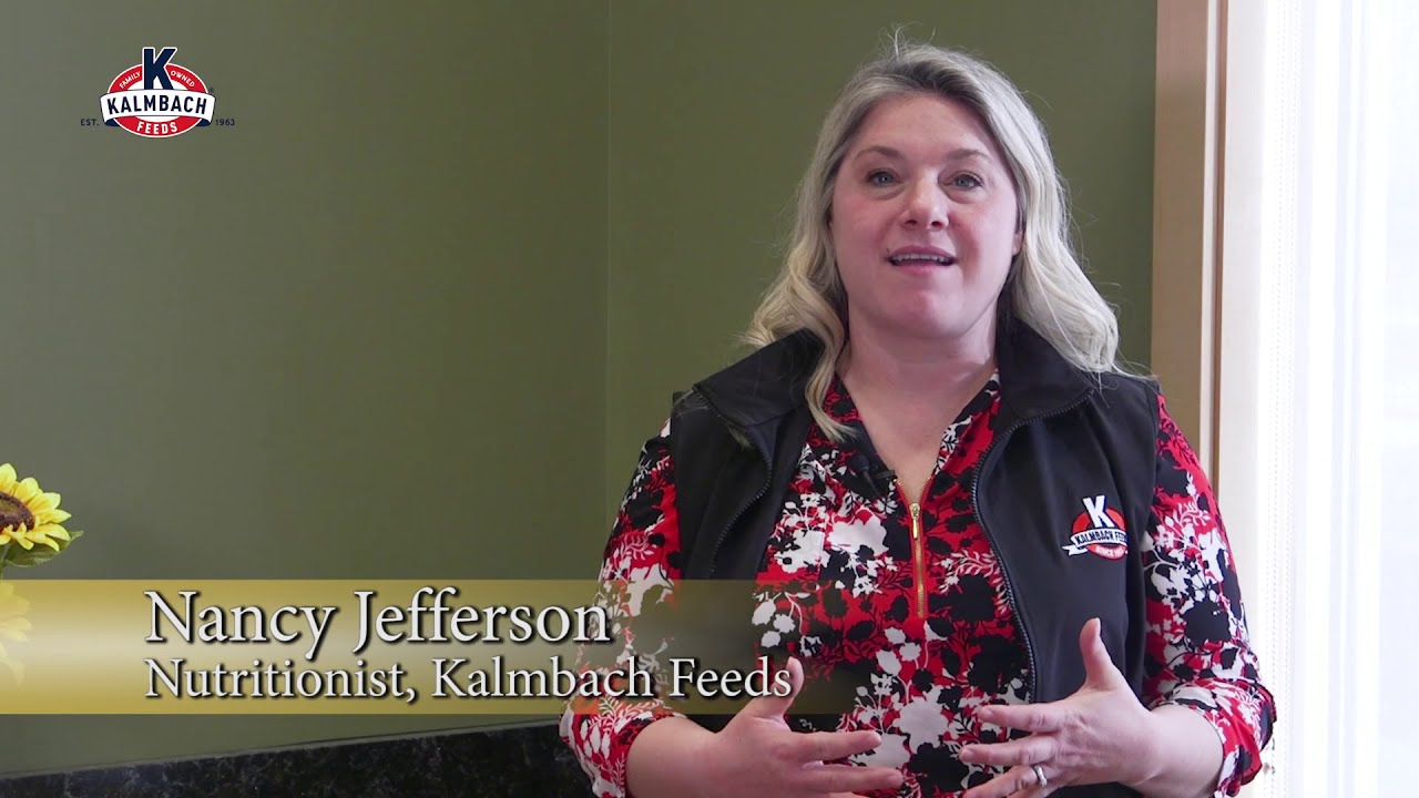 Flock Maker & Flock Maintainer