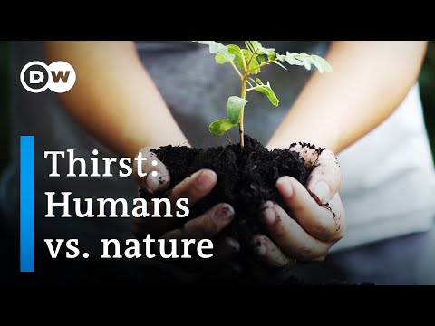 DW: Is water the new gold? – #2/3 – What happens when our water dries ...