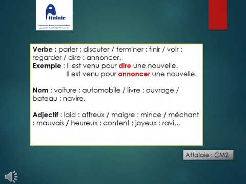 Les synonymes et les antonymes (CM2)