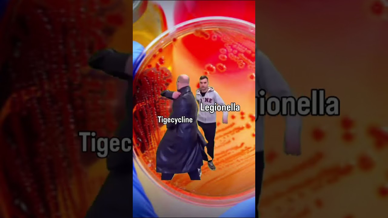 Pseudomonas aeruginosa vs Bacteria against Tetracyclines (Tigecycline) - Multi-drug resistant MDR