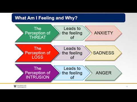 Stress Management | Why it’s Important and How We Can Manage It