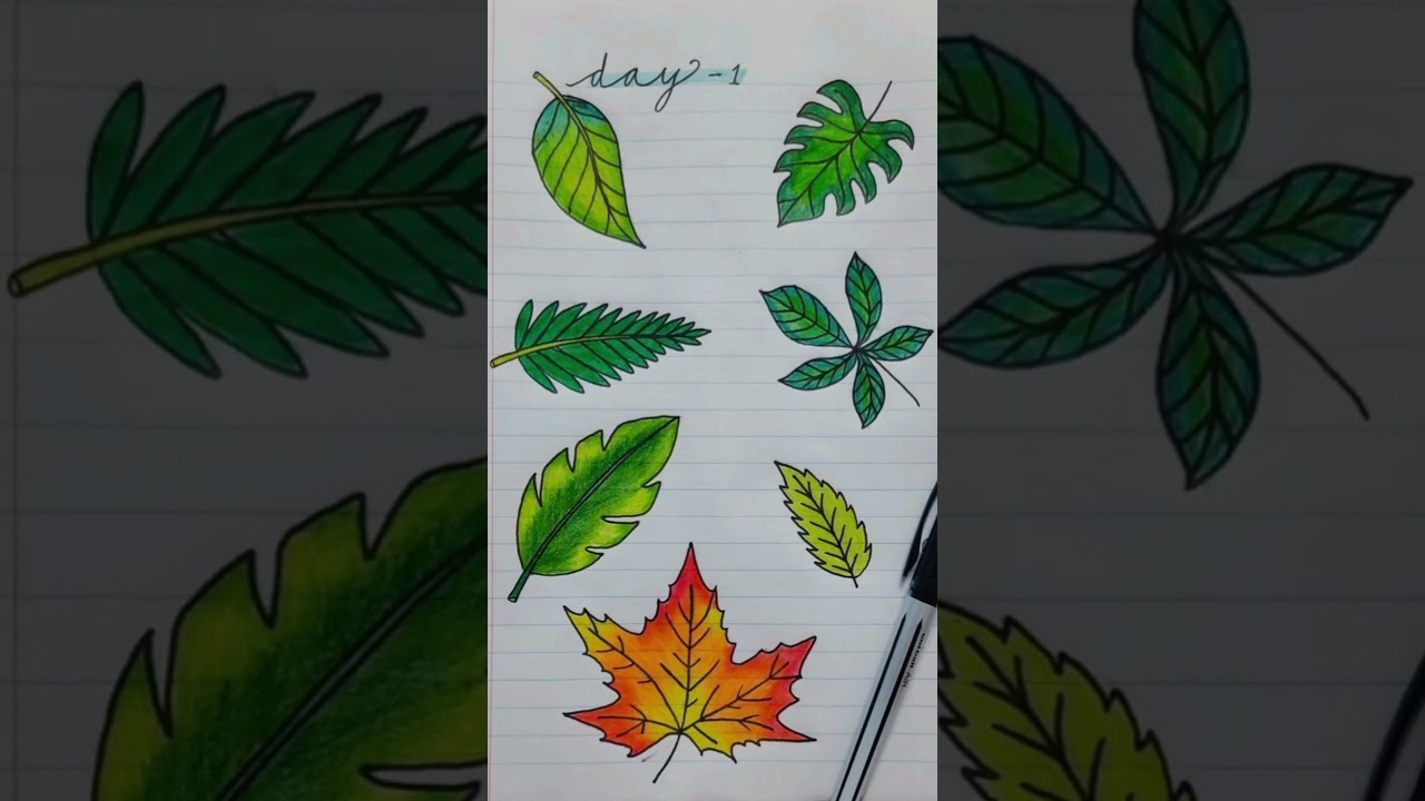 How to draw different types of leaves 🍃 | Beautiful drawing ideas #drawing #art #leafart #trending