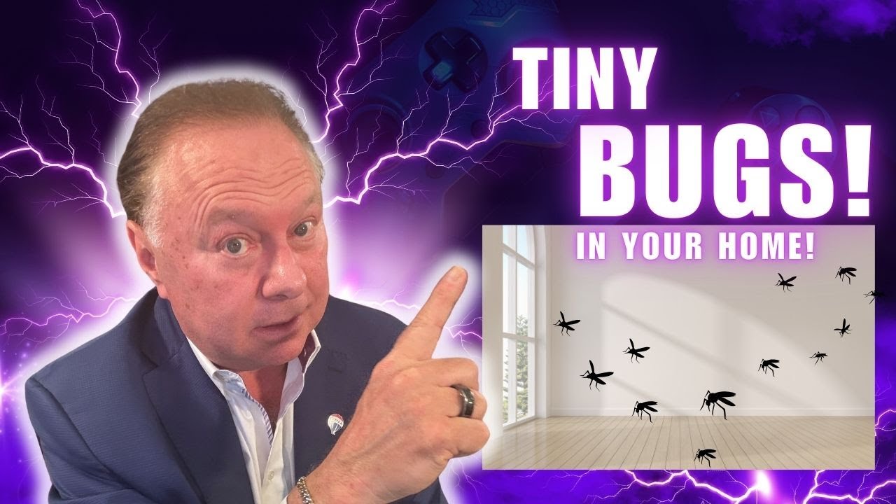 Tiny Black Bugs in Your Home? Here's What They Are and How to Get Rid of Them!