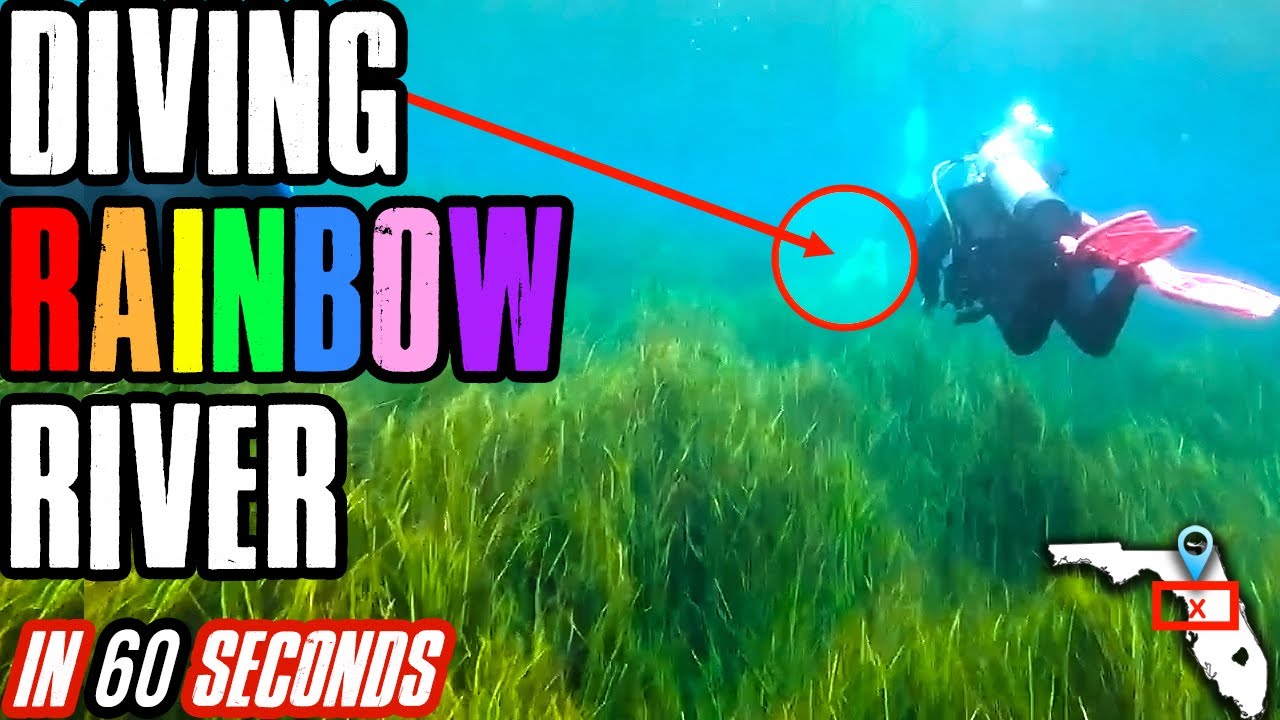 How to scuba dive Rainbow River, FL from KP Hole | 1 minute diving breakdown video | Down to 60