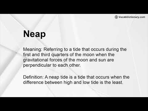 Neap Meaning