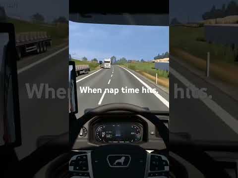 Truckers MP: even tiring for the trucks.