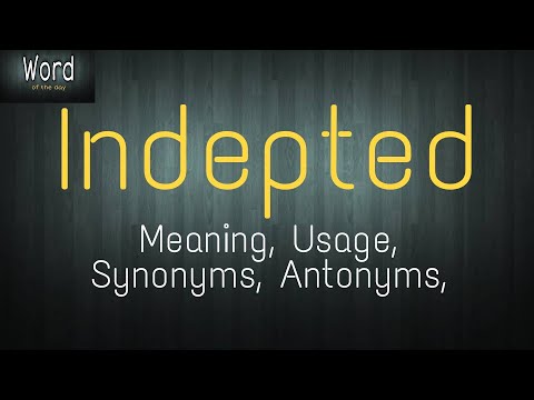 Word of the day - Indebted