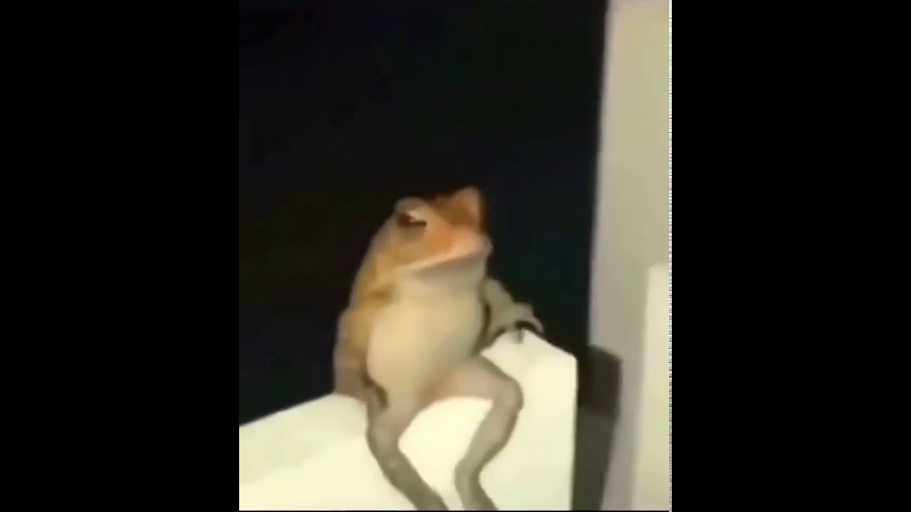 Do a flip phrog meme