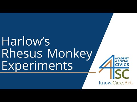 Harlow’s Rhesus Monkey Experiments: Monkeying Around With Love - Psychological Experiments Seri...