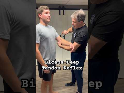 Biceps Deep Tendon Reflex is used to identify a C5 nerve root compression. #physicaltherapy