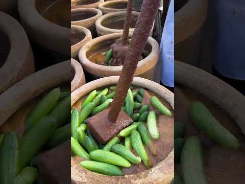 Pickling Cucumbers: The Art of Fermentation