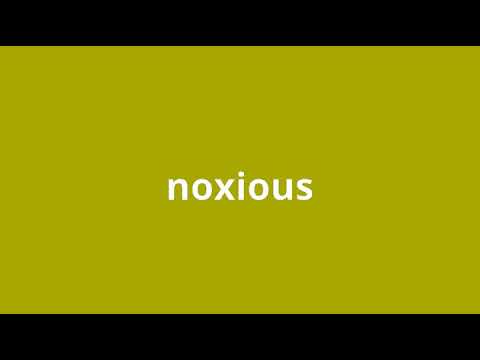 what is the meaning of noxious
