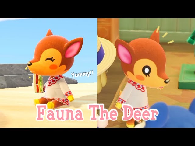 Fauna in Animal Crossing: How to get, Appearance, Roles