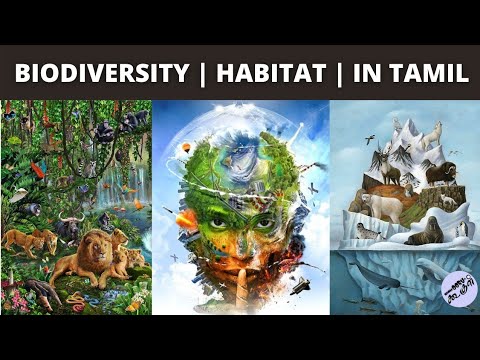 #tnpsc #biology Biodiversity | Habitat | In Tamil | Nammaoorugoogle
