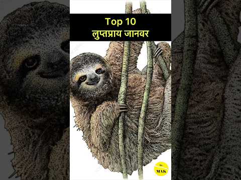 TOP 10 MOST ENDANGERED ANIMALS| शीर्ष 10 सबसे लुप्तप्राय जानवर #shorts #endangeredanimals