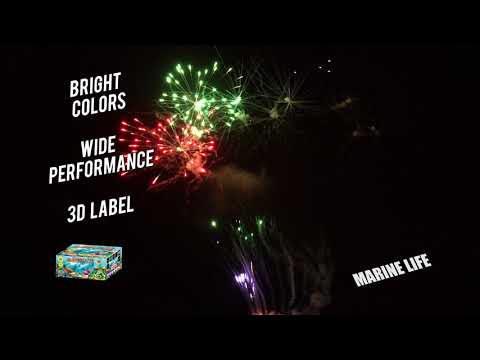 Marine Life 500g Cake - World Class Fireworks