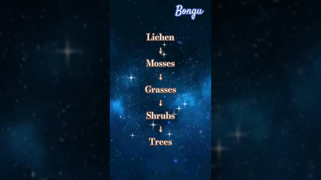 Sequence of stages of succession on bare rock #biology #class12 #ecology #bongu #trending #viral