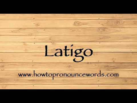 How To Pronounce Latigo ? How To say Latigo New Video