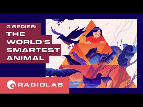The World's Smartest Animal | Radiolab Presents: G Episode 6