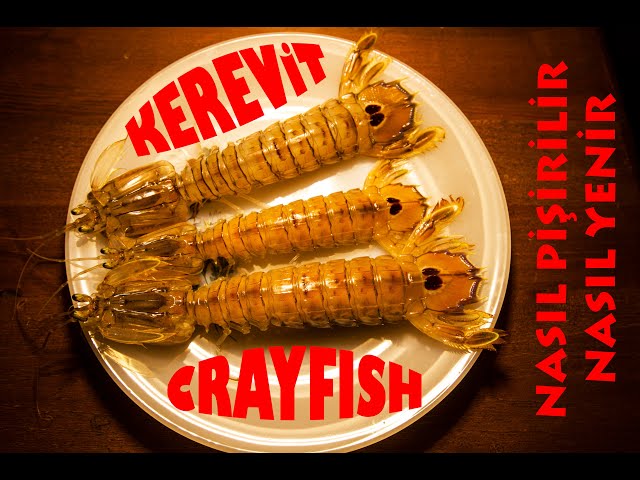 Kerevit Nedir? Nasıl Yenir? - Nefis Yemek Tarifleri
