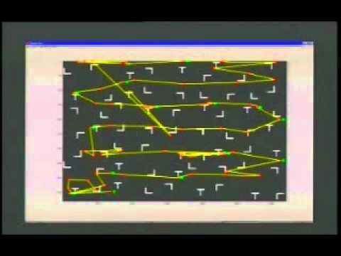 Visual search and Spatial Memory in Hemispatial neglect