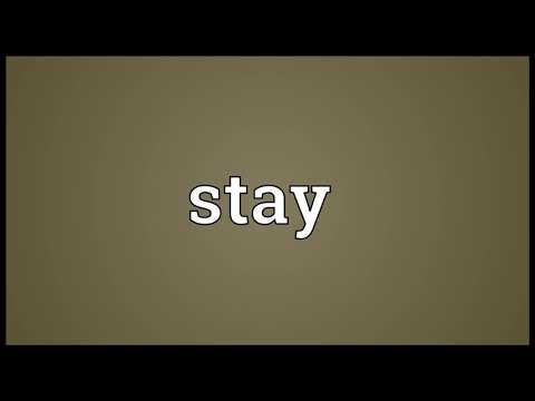 stay meaning in English