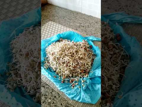 Ghar par sprouts kaise banaye | Do din mein sprouts taiyar | How to make sprouts at home | #shorts