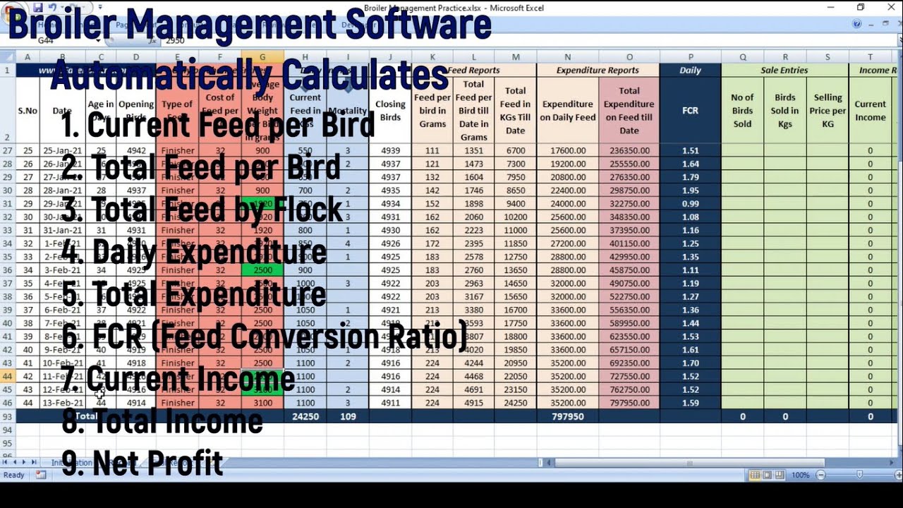 Free Broiler Management Excel Sheet Software for Broiler Farm