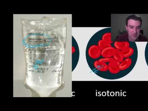 Intro to osmosis