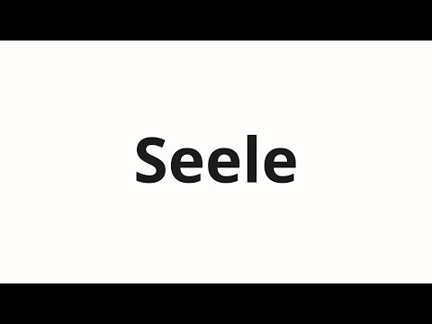 How to pronounce Seele
