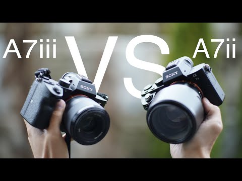 SONY A7ii VS A7iii VIDEO AUTOFOCUS COMPARISON 2019