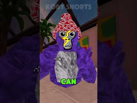 This looks *WAY* Better… #gorillatag #shorts #reccomended #gtag #vr