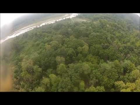 Video footage of grasslands and ‘Sal’ forest in Chitwan National Park ...