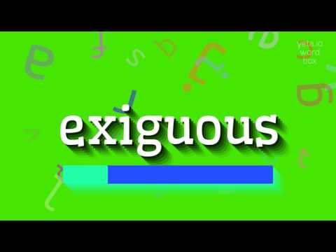 How to say "exiguous"! (High Quality Voices)