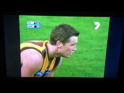 AFL Round 9 2001 Essendon vs Hawthorn Finish