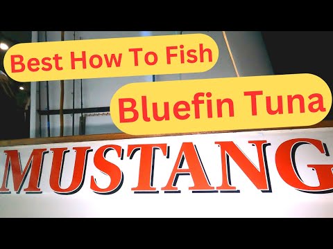 F/V Mustang Fishermans Landing San Diego California Best Deckhand How To Bluefin Fishing Instruction