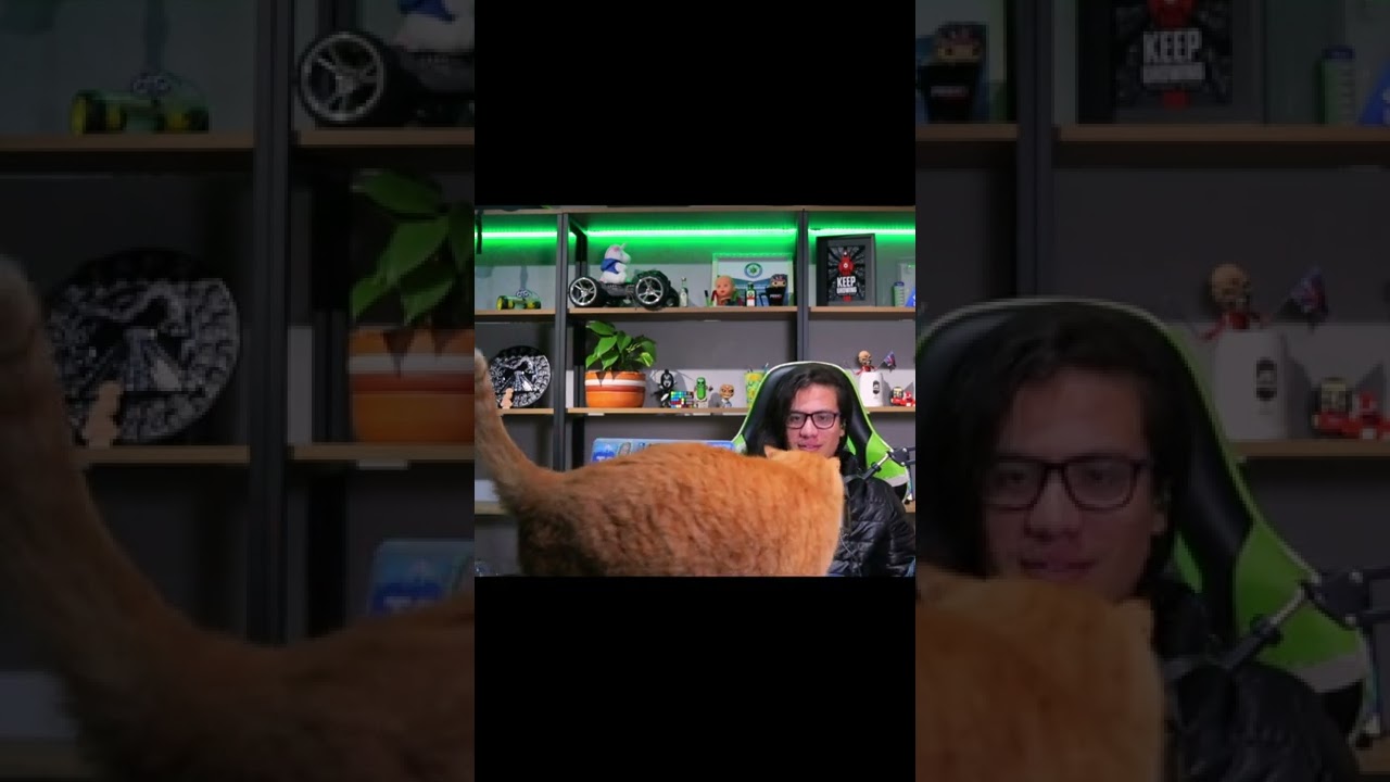 When your cat wants to learn JavaScript 😂 - Blooper reel 2 - #Shorts