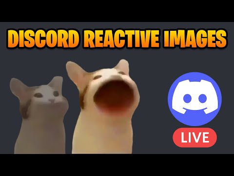How to Setup Reactive Images on Discord | PNG VTuber