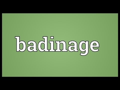 Badinage Meaning