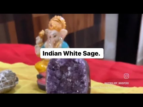 "Indian White Sage: The Sacred Herb of India" | #hindi #925silver #sage #pathan #shorts #shortvideo
