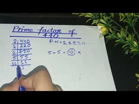 Prime Factors of 440