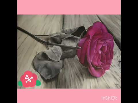 A una rosa. Poema de Luis de Góngora, en voz de América Rubio :: Voz-de ...