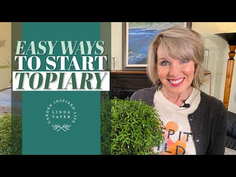 How to Get Started in Topiary