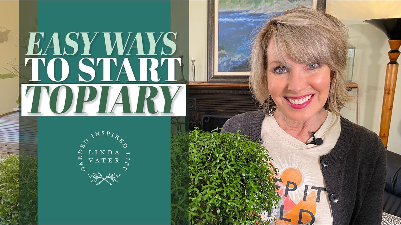 How to Get Started in Topiary