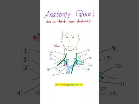 Do you know your Anatomy? What's Lymph? What are the Big Veins of Circulatory System | Anatomy Quiz