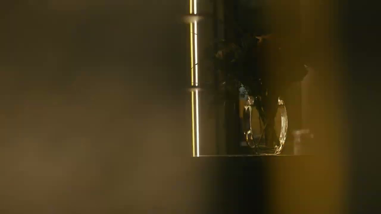 Discover The Interlude