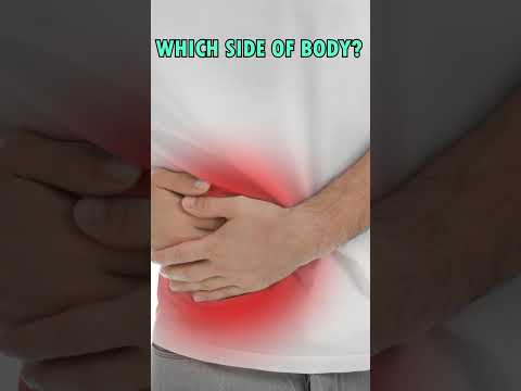 Which side is your appendix on?