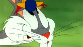 Princess Fiona - Cinematic Adventures: Shrek - Fimfiction