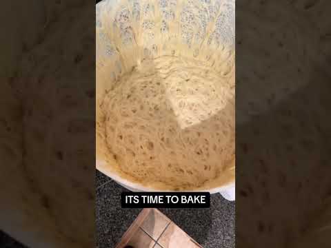 200-year-old sourdough starter… 🤯 (🎥: topknotartisanbakery)