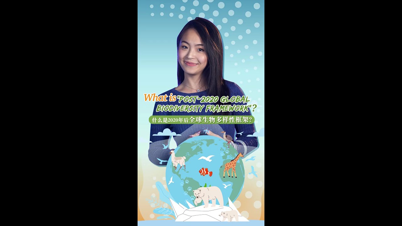 What is “Post-2020 Global Biodiversity Framework”?